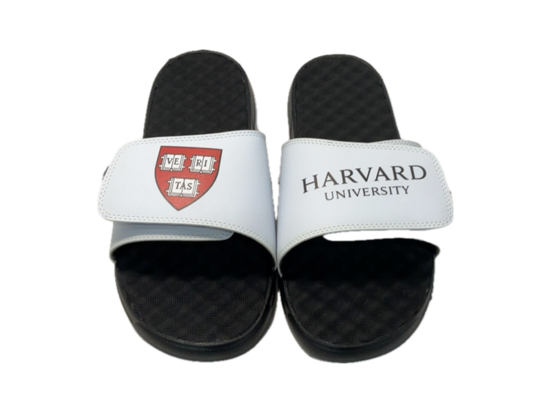 Harvard Shield Wordmark Slides Shoes - Fishisfast Store